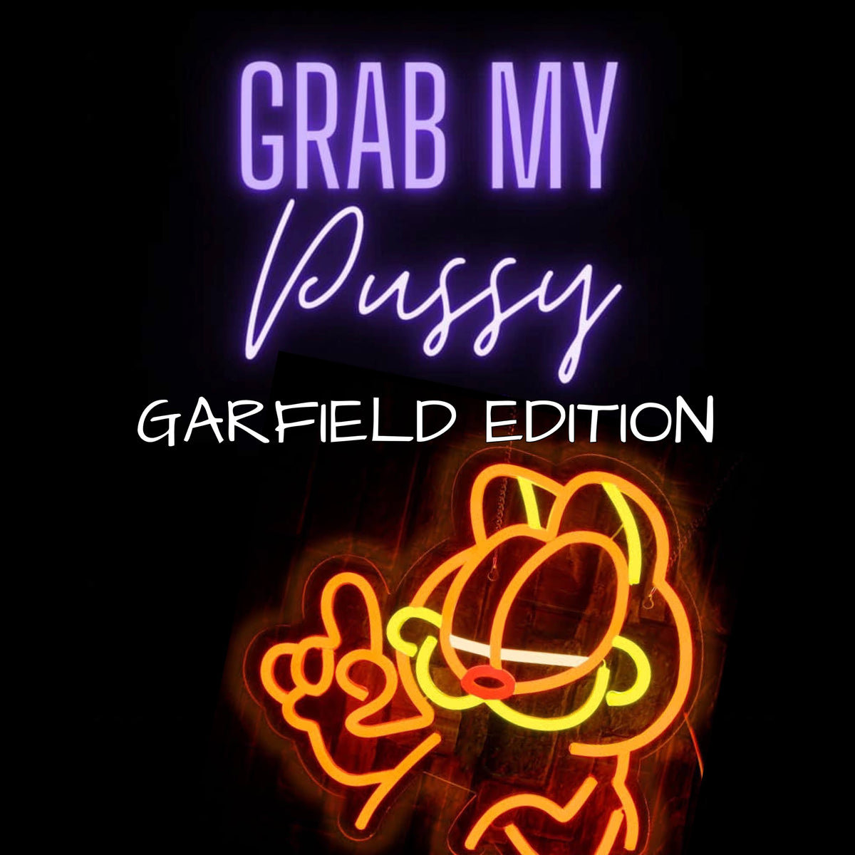Grab My P*ssy- Garfield edition – Helz Ltd